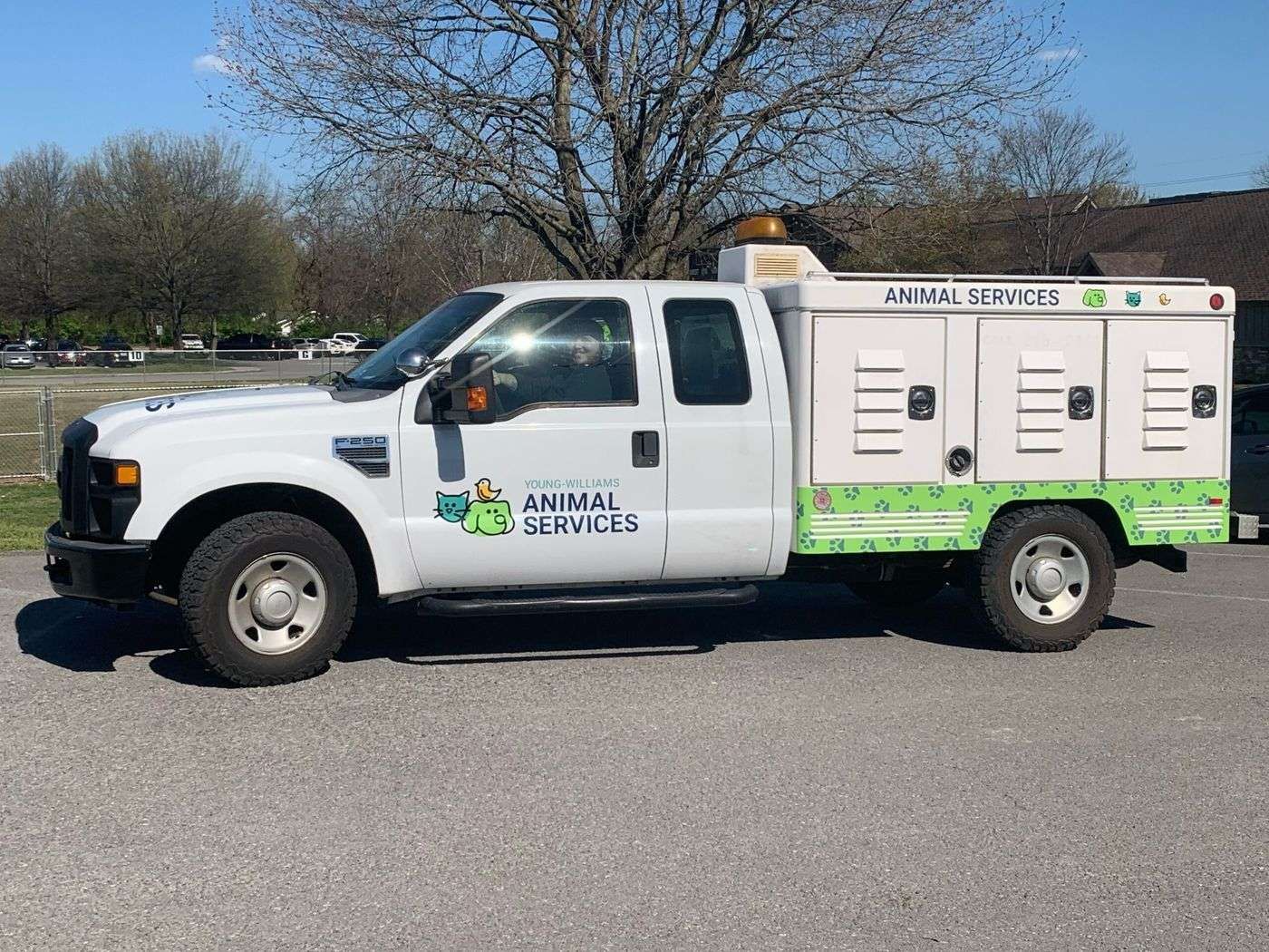 Young-Williams Animal Center launches centralized animal welfare ...